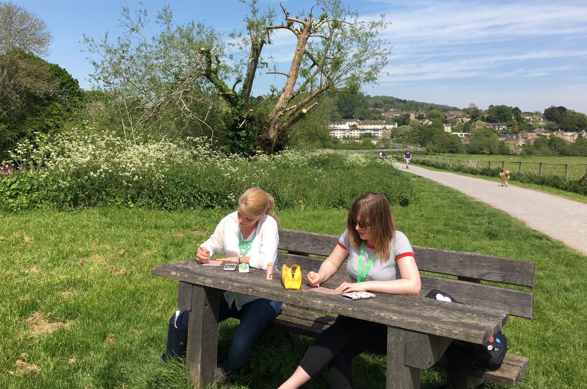 Bathampton Meadows and Riverside - Bathscape Landscape Partnership