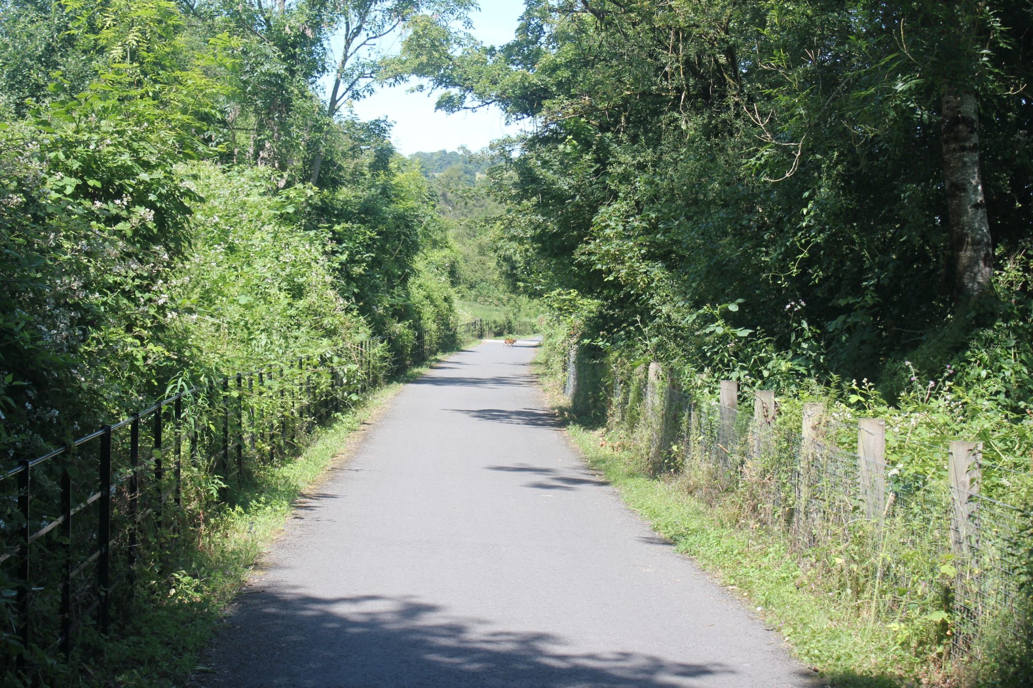 Two Tunnels Path - Bathscape Landscape Partnership