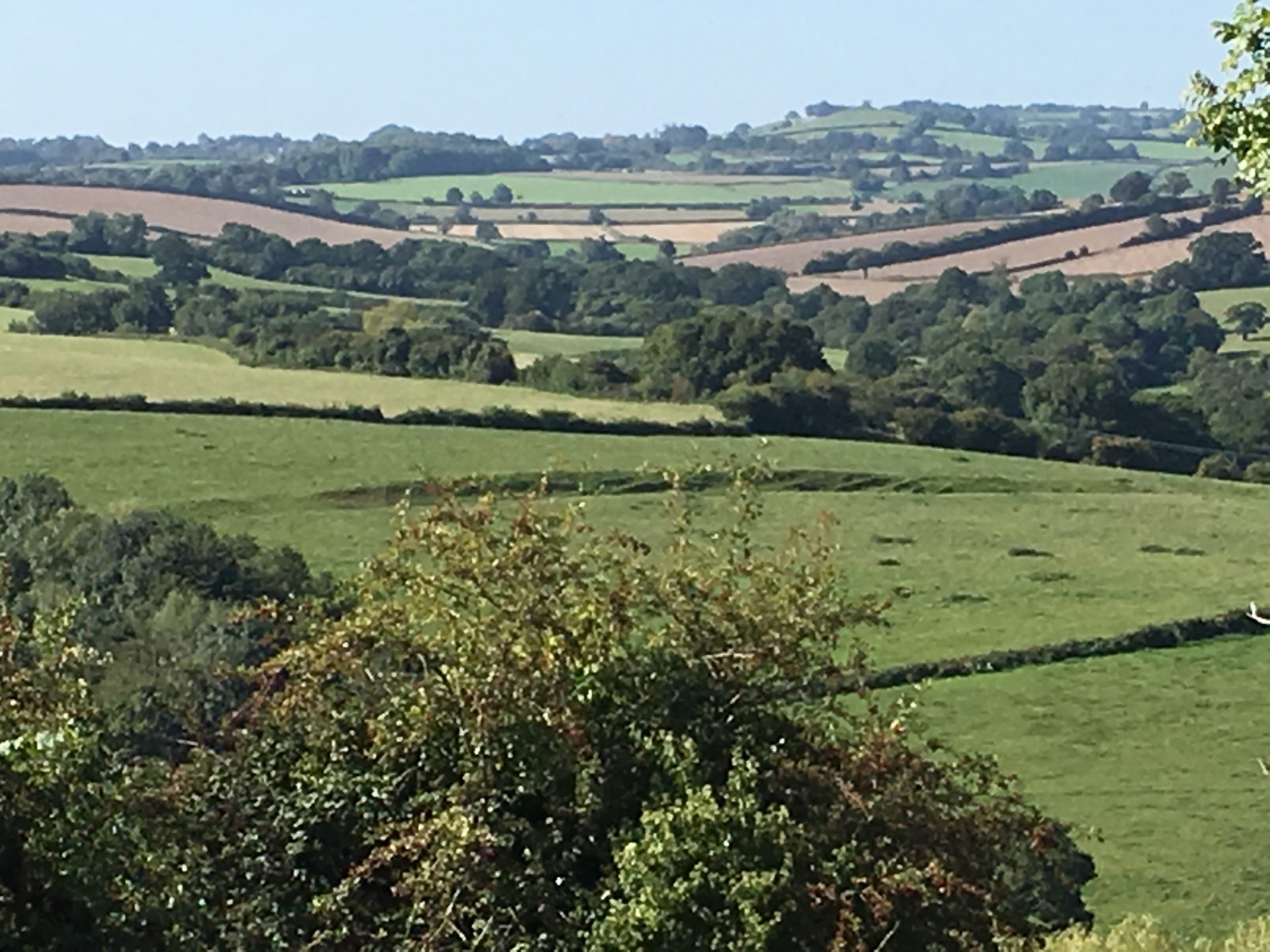 Wansdyke - Bathscape Landscape Partnership