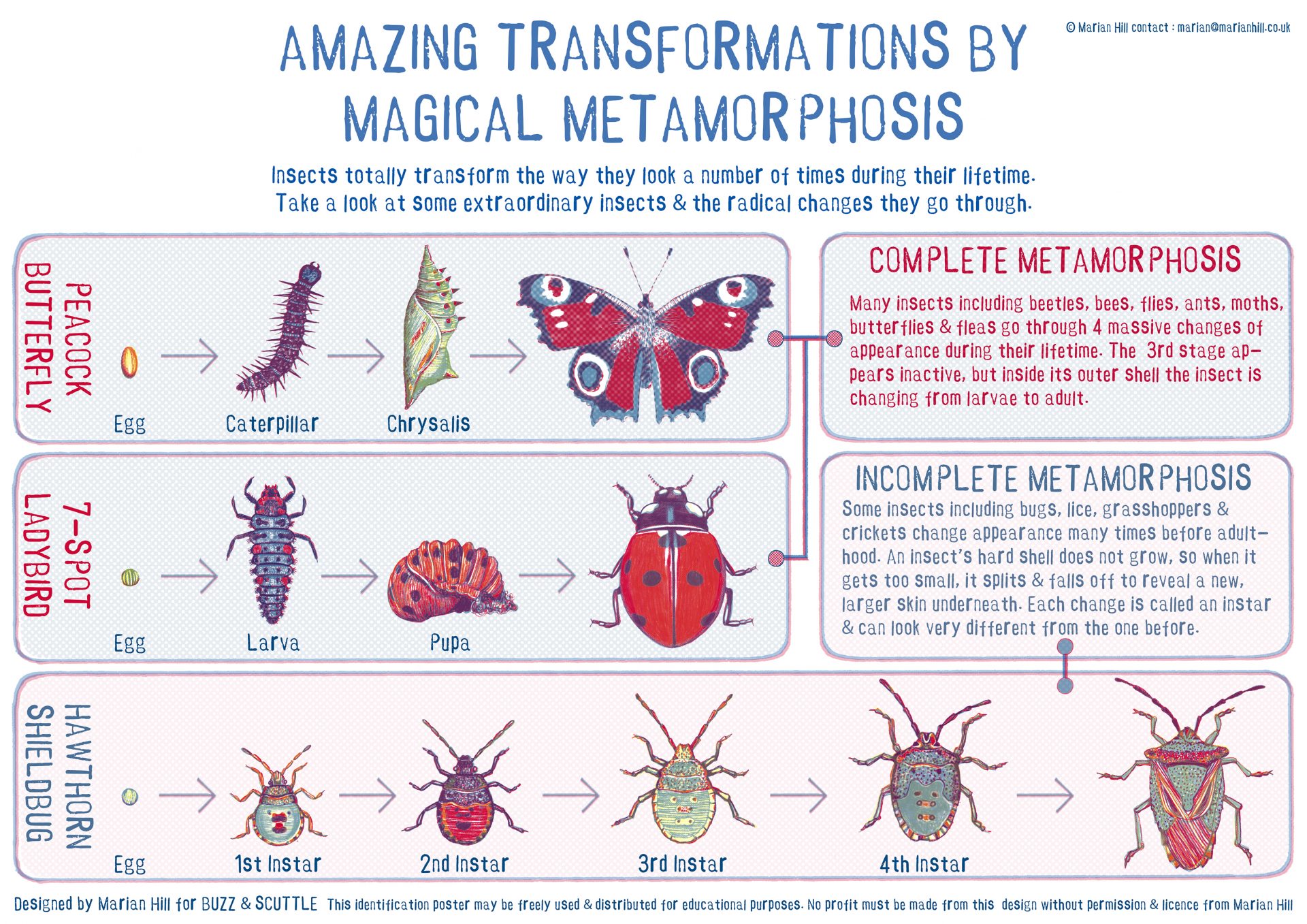 Learn - Bathscape Landscape Partnership