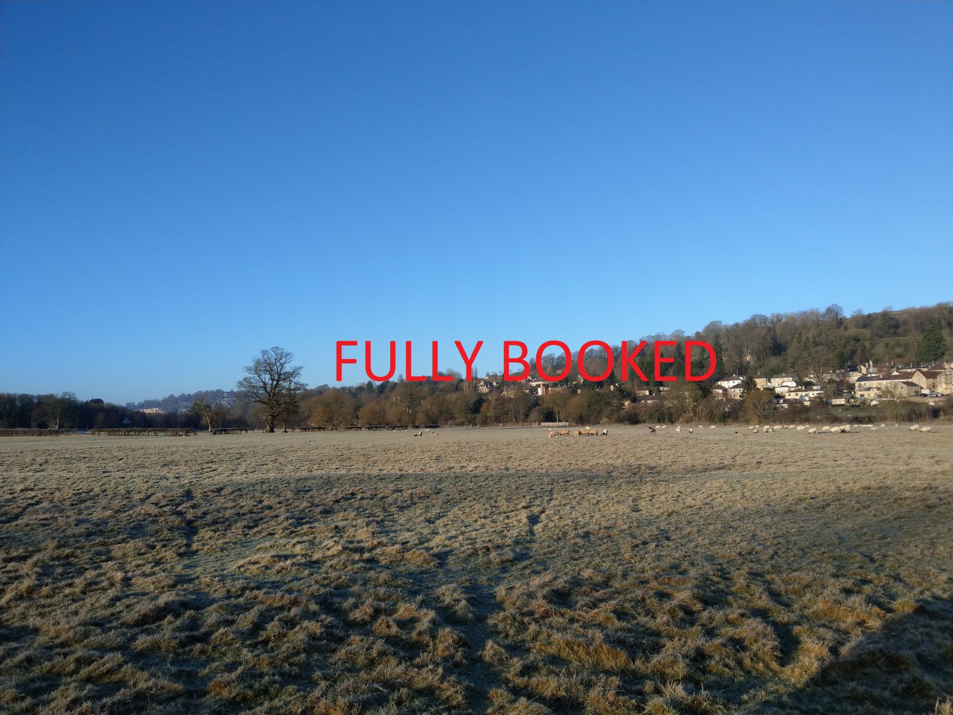 Introduction to Bathampton Meadows - Bathscape Landscape Partnership