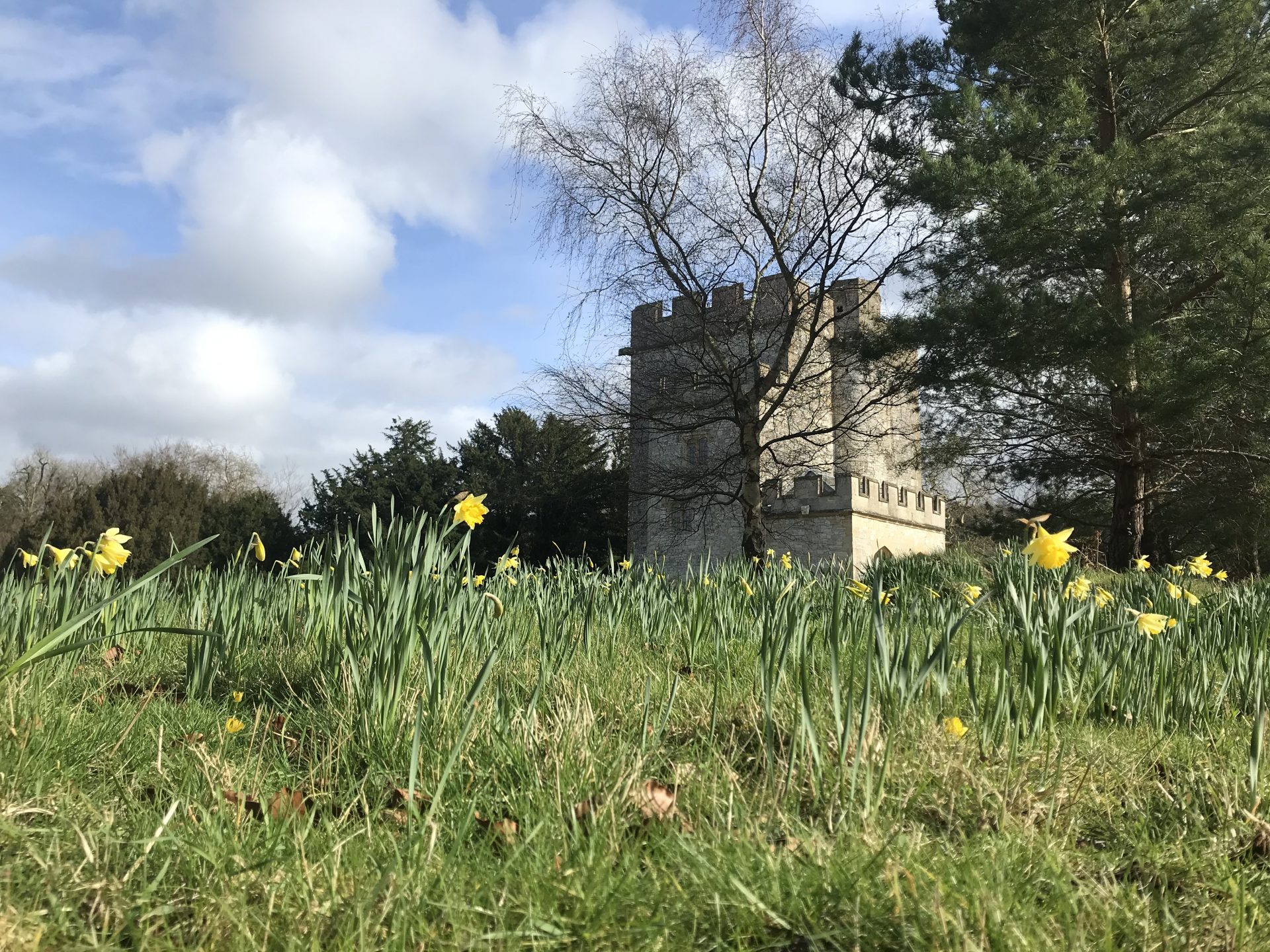 Wildlife and Wellbeing and Newton Park (Fri) - Bathscape Landscape ...