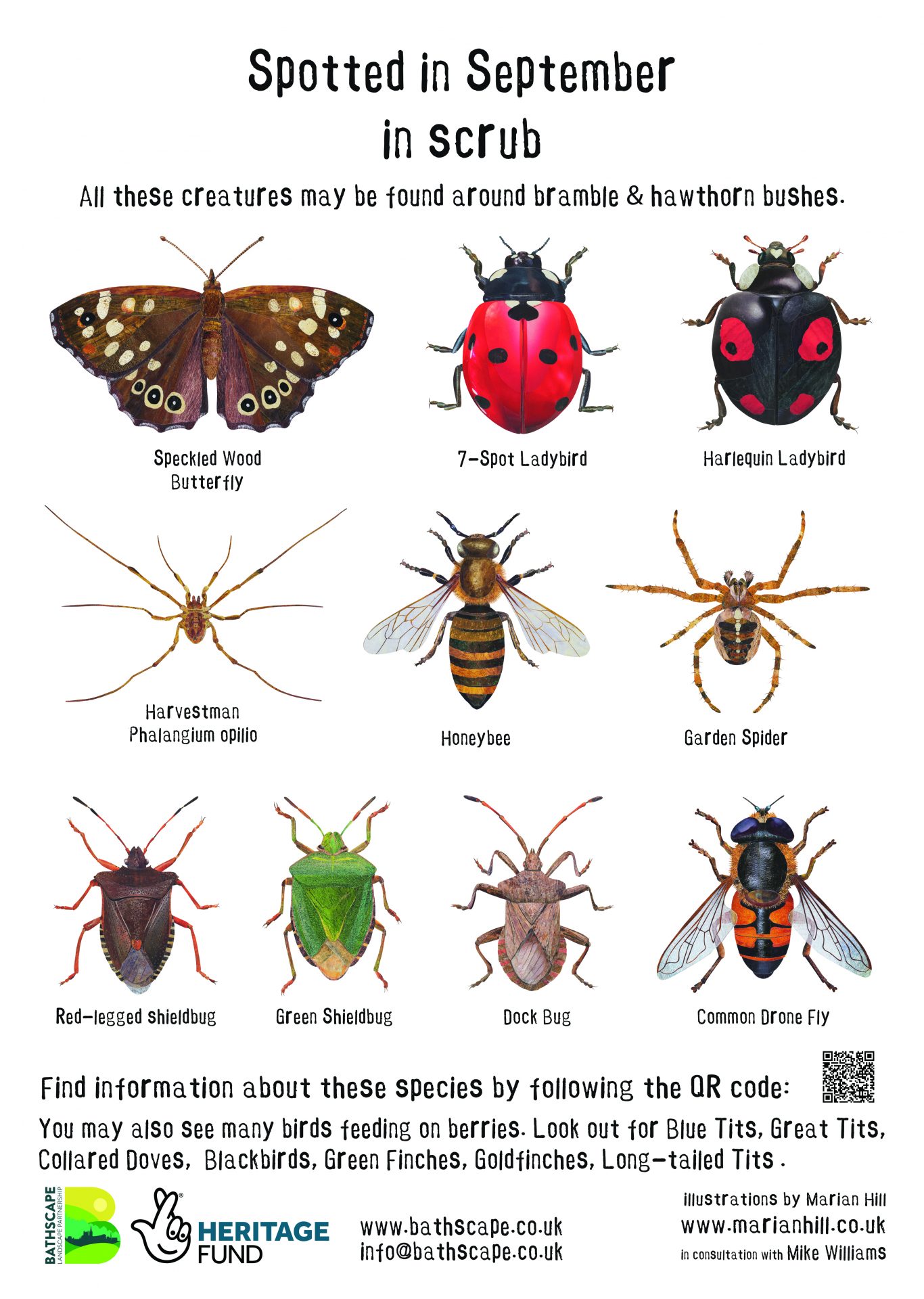 September Nature Trail - Bathscape Landscape Partnership
