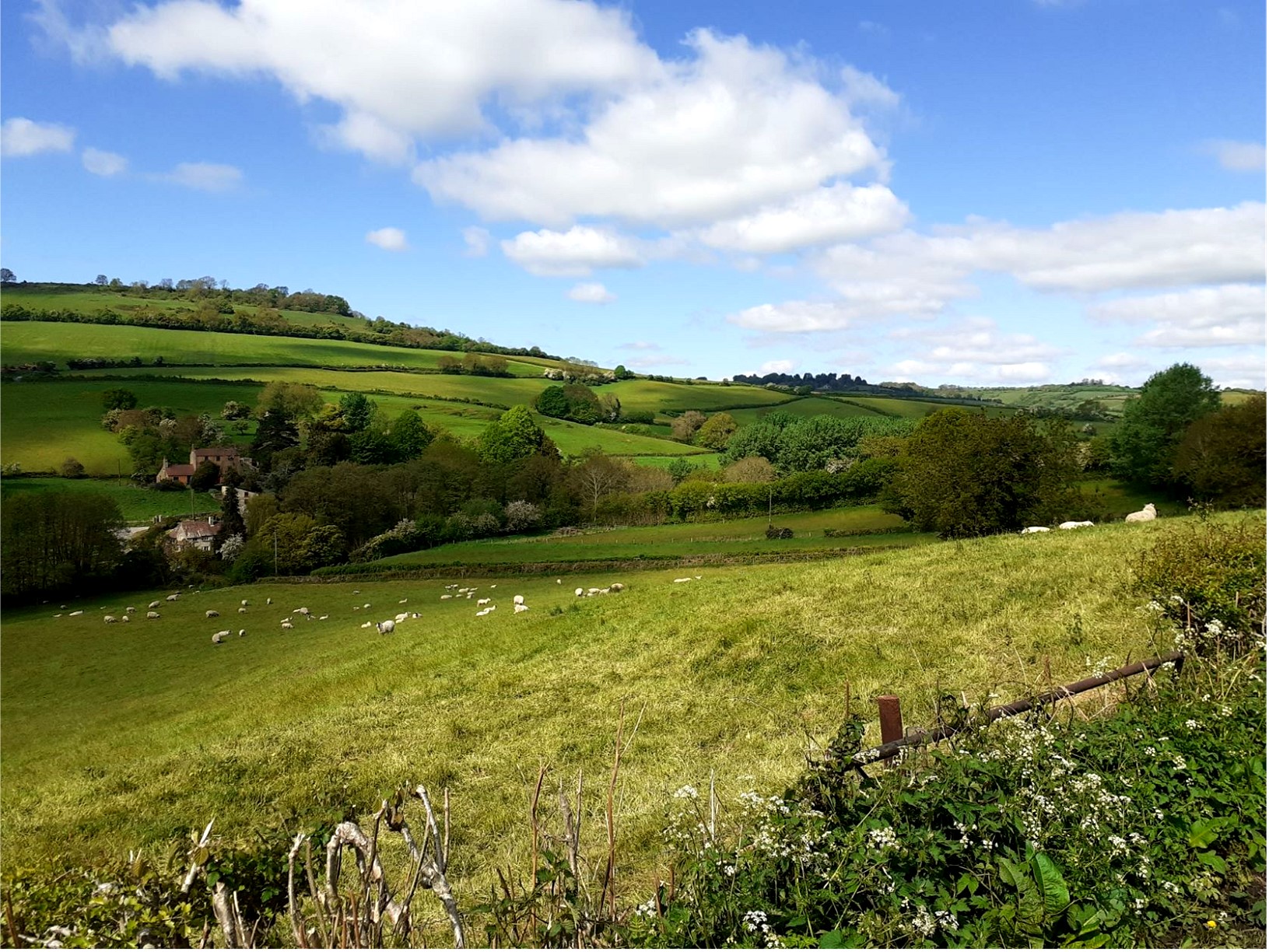 John Wood Countryside Walk - Bathscape Landscape Partnership