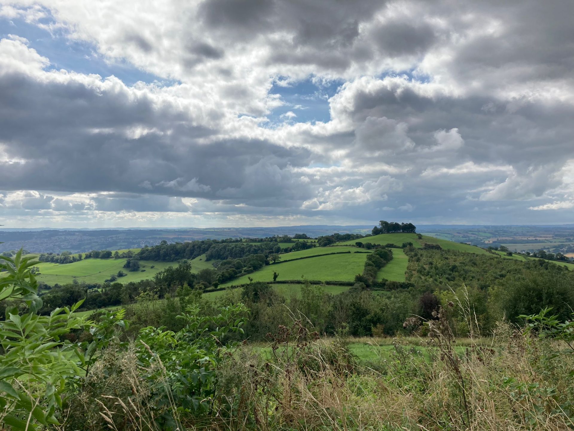 Lansdown on the Level - Bathscape Landscape Partnership