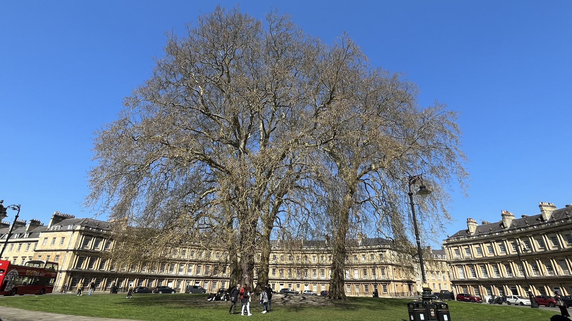 Riverside Ramble - Discovering the Trees of Central Bath - Bathscape ...