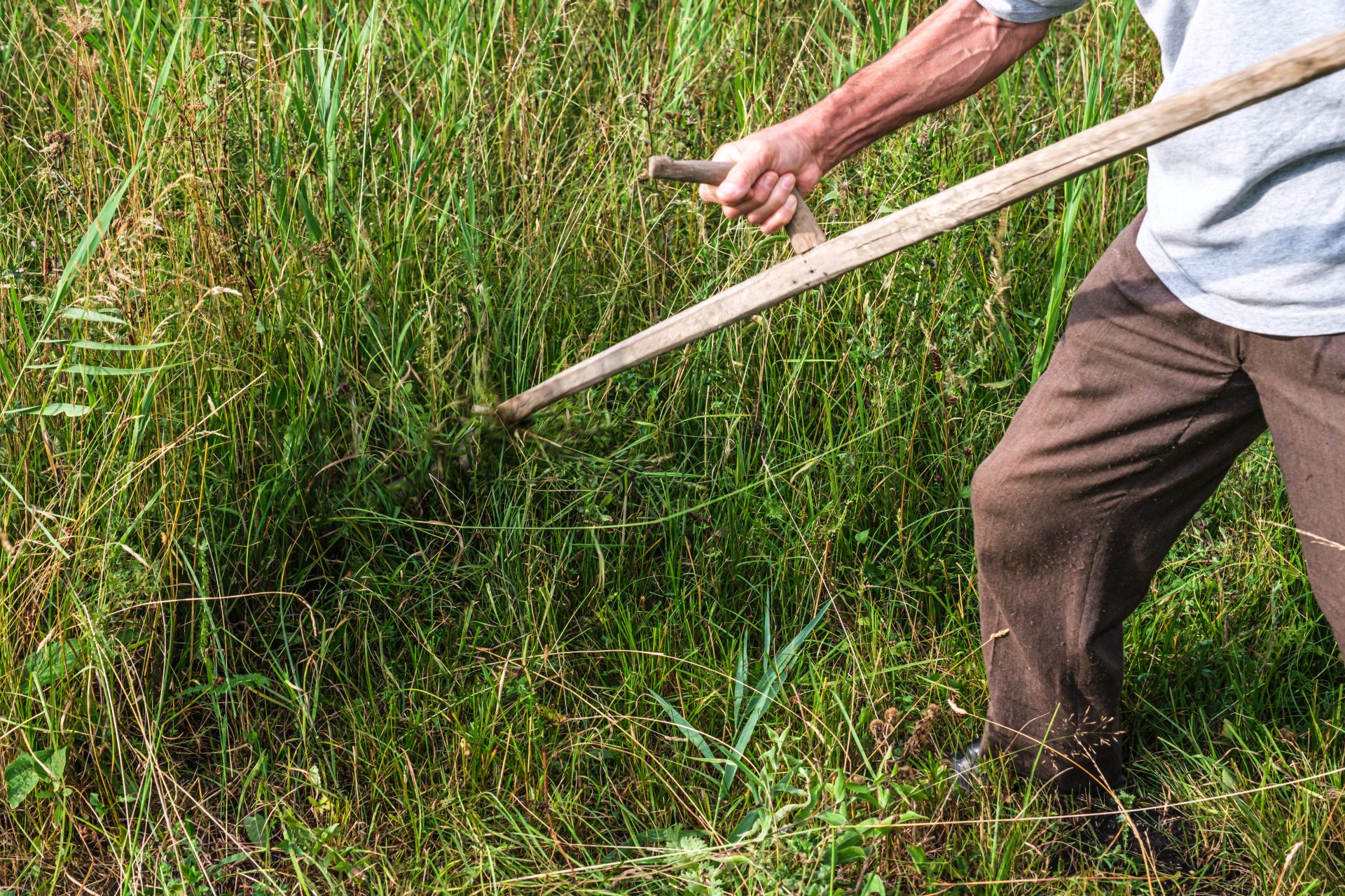 Scything: training in use of a traditional scythe - afternoon ...