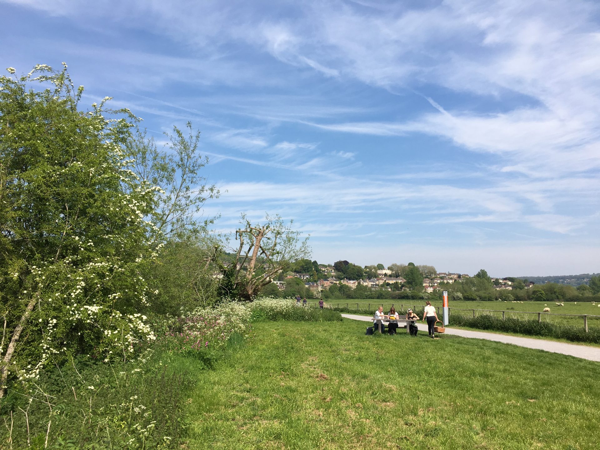 Garden and Landscape Batheaston and Bathampton Meadows - Bathscape ...