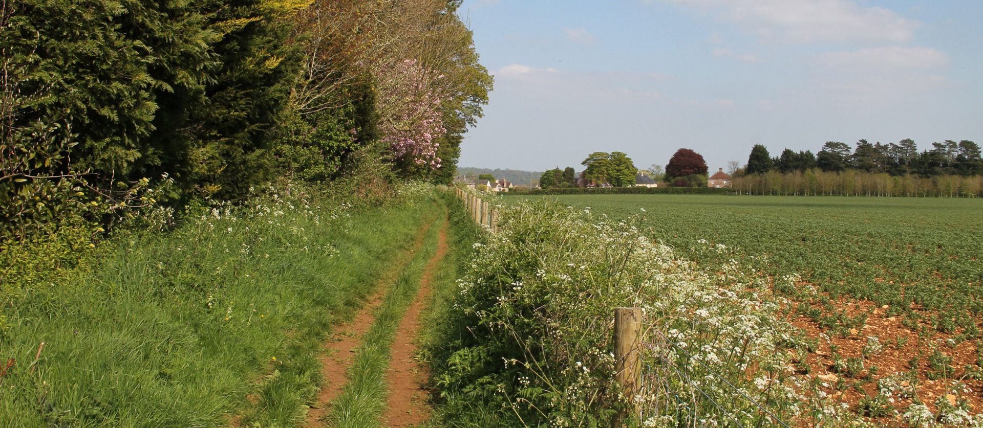 The Mystery of the Wansdyke in Bath Walk 1 - Bathscape Landscape ...