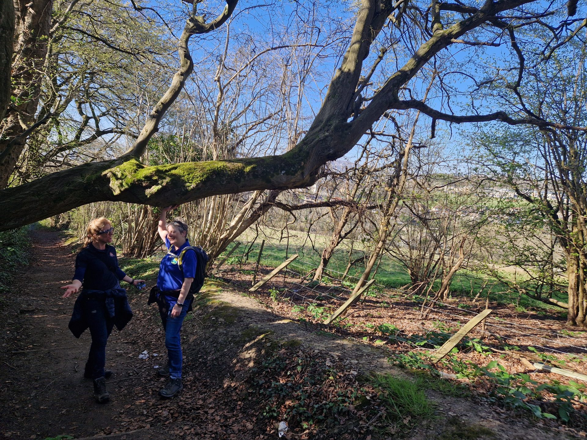 Wellbeing Walk with Bath 5k map - Bathscape Landscape Partnership