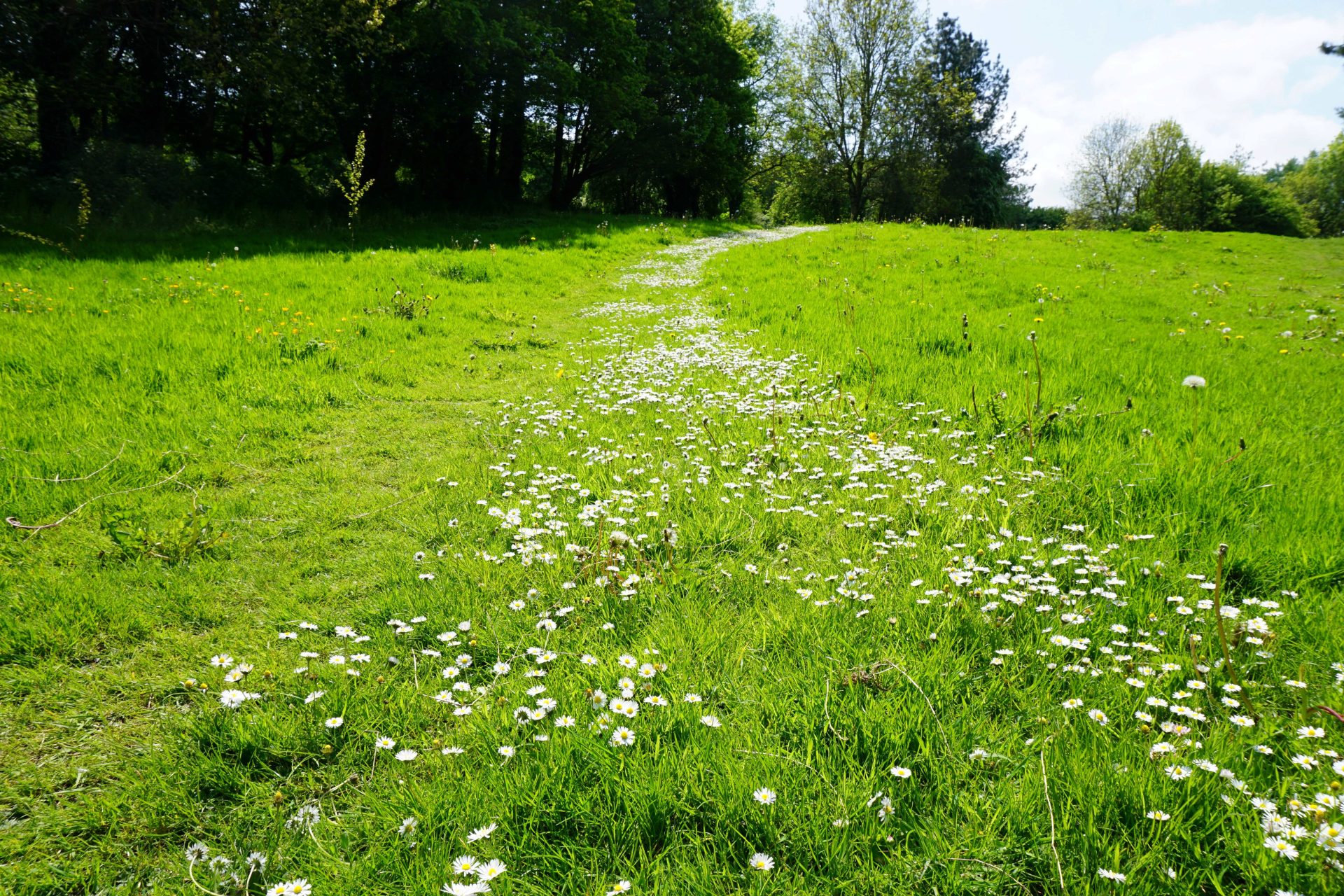 Nature friendly family day - Bathscape Landscape Partnership