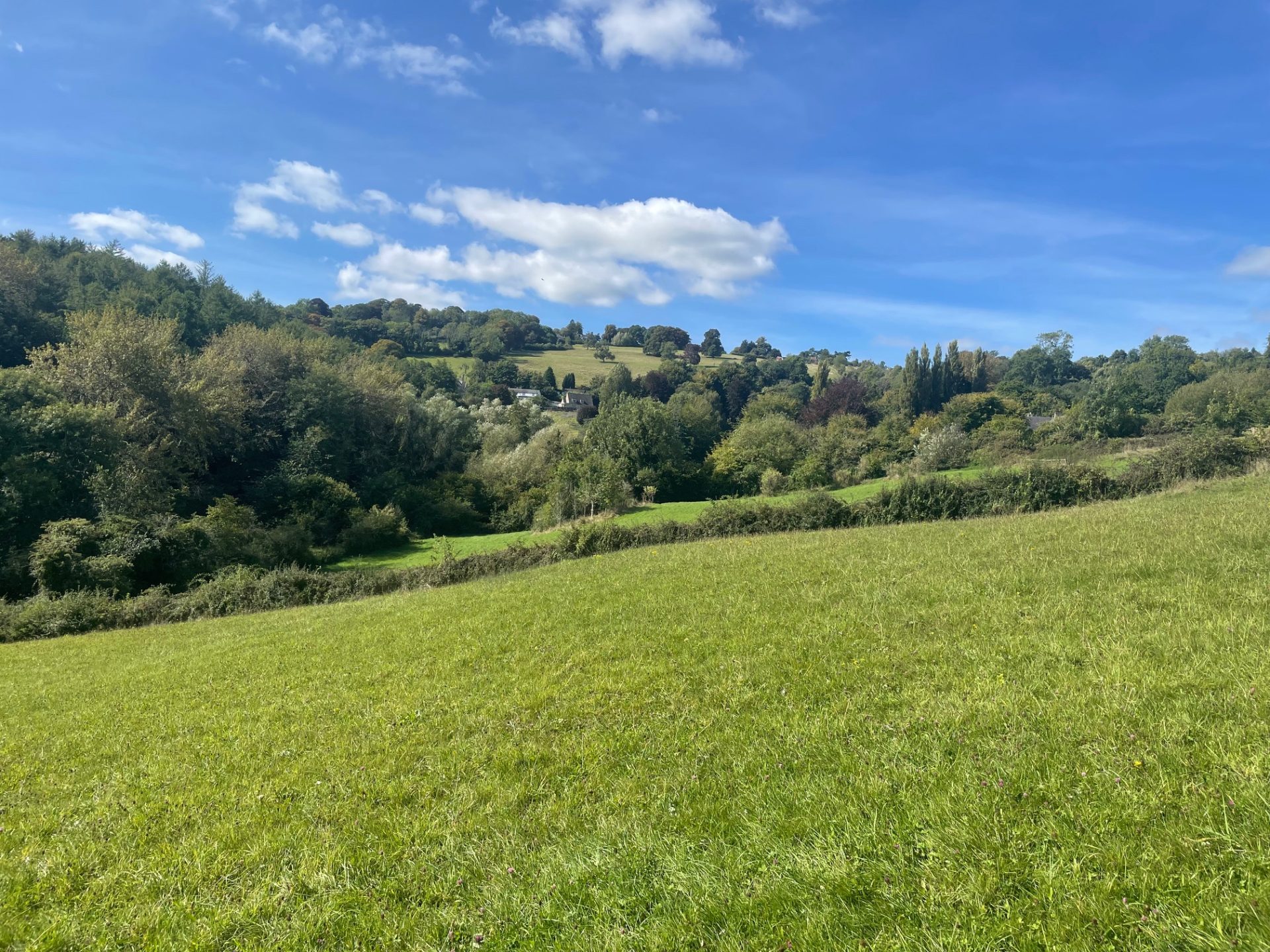 The nature and history of Charlcombe Valley - Bathscape Landscape ...